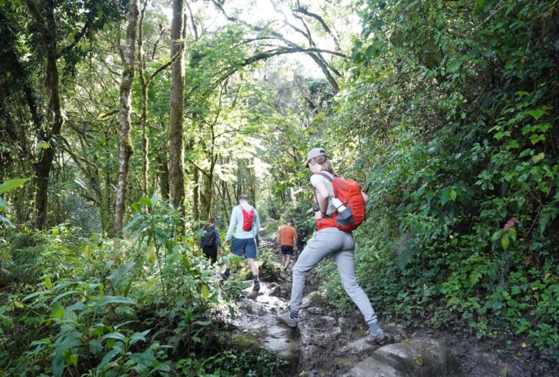 Embark on unforgettable adventures with Activexpedition!
